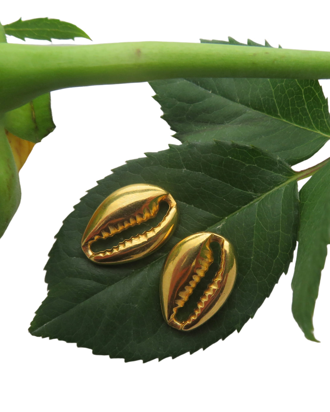 SHELL – Valeri Christina